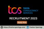 TCS Entry Level Jobs 2023-2024 | Freshers Hiring Drive | Apply Now